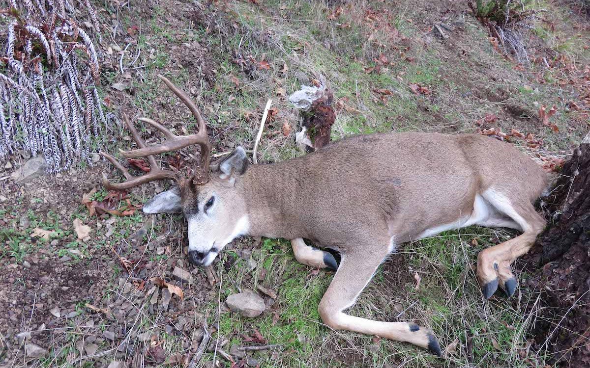 Index of /wp-content/uploads/2019/01